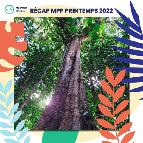 Ma Petite Planète, Défi environnemental / Challenge écologique